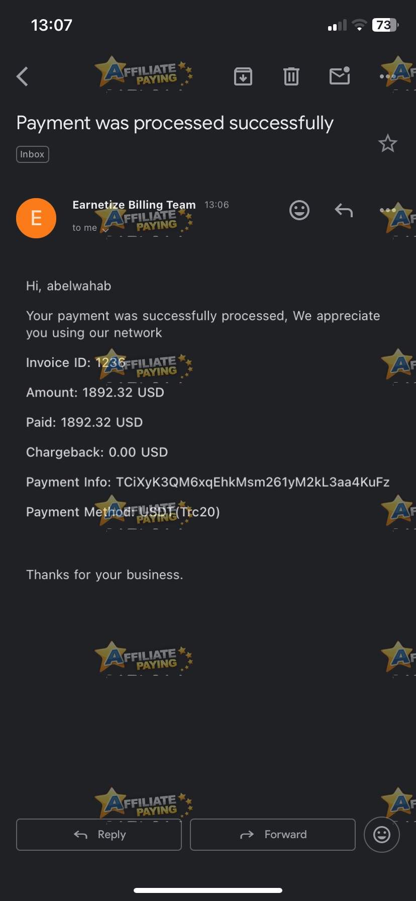 Affiliate Reviews - Affpaying