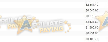 PeerFly - CPA Network Reviews - Affpaying